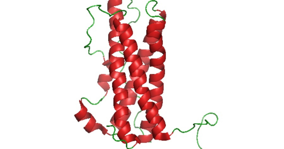 Prolactin: What it Is, How it is Produced, and Functions of This ...