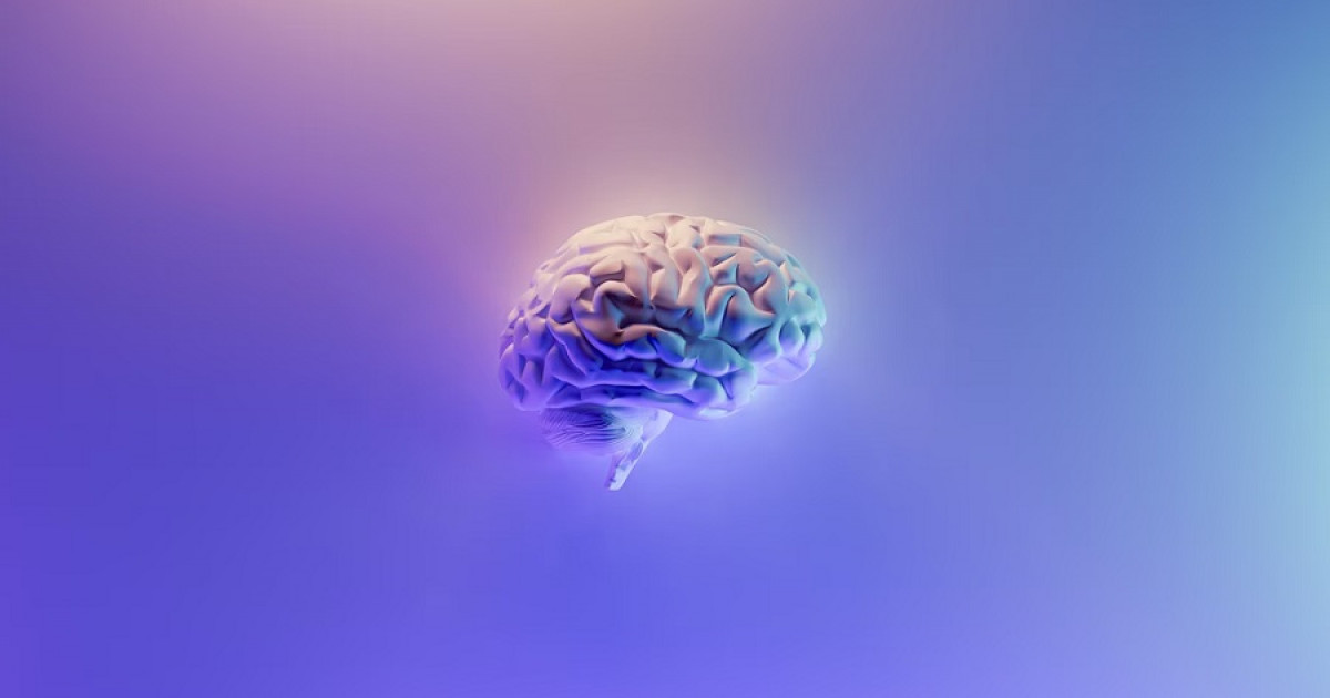 What Are the Parts of the Brain Associated with Sleep? | Psychology | 2023