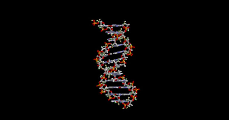 DNA Translation: What it is and What Are Its Phases | Psychology | 2023