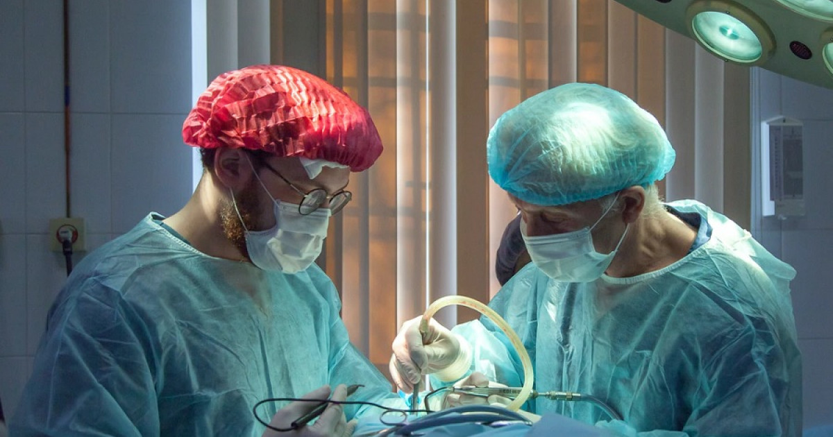 The 5 Most Common Types of Transplants (and Their Characteristics ...