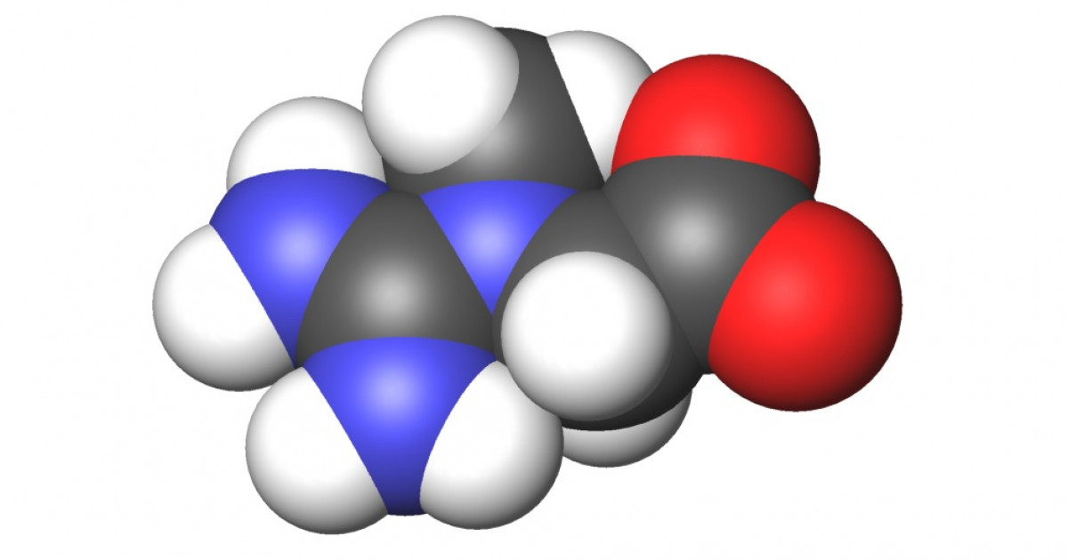 The 9 Types of Creatine: Nutritional Properties and Uses in Diet ...