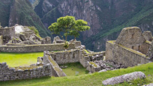 110 Chilean Words and Expressions (with Their Meaning) | 2025