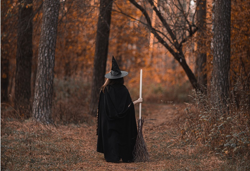 The 60 Best Witch Phrases | 2024