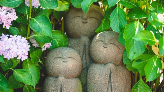 The 100 Best Simplicity Phrases | 2024