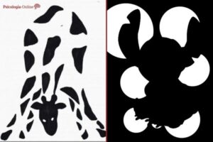 What is the Gestalt Law of Continuity and Examples | 2025