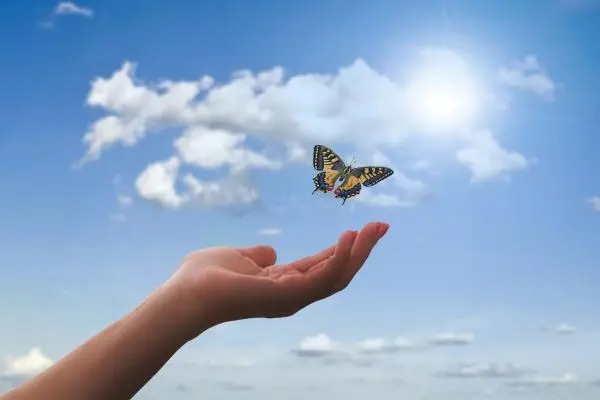 What is the Law of Detachment and How to Apply it | 2026