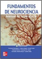 13 Neuroscience Books for Beginners (highly Recommended) | 2024