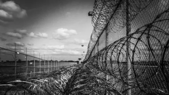 Social Reintegration: What It Is & Its Effects | 2026