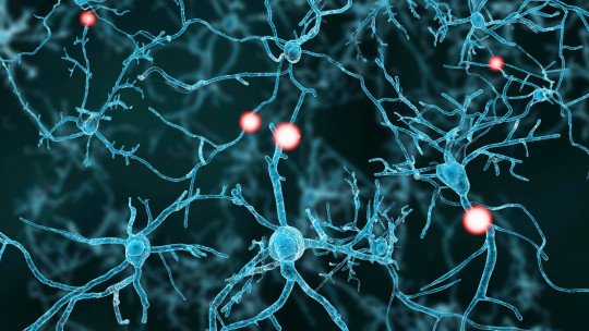 Neurotransmitters of Happiness: What Are They? | 2026