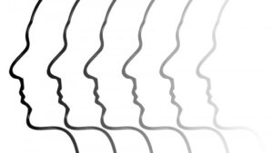 The HEXACO Personality Model: What it Is, and Components | 2025